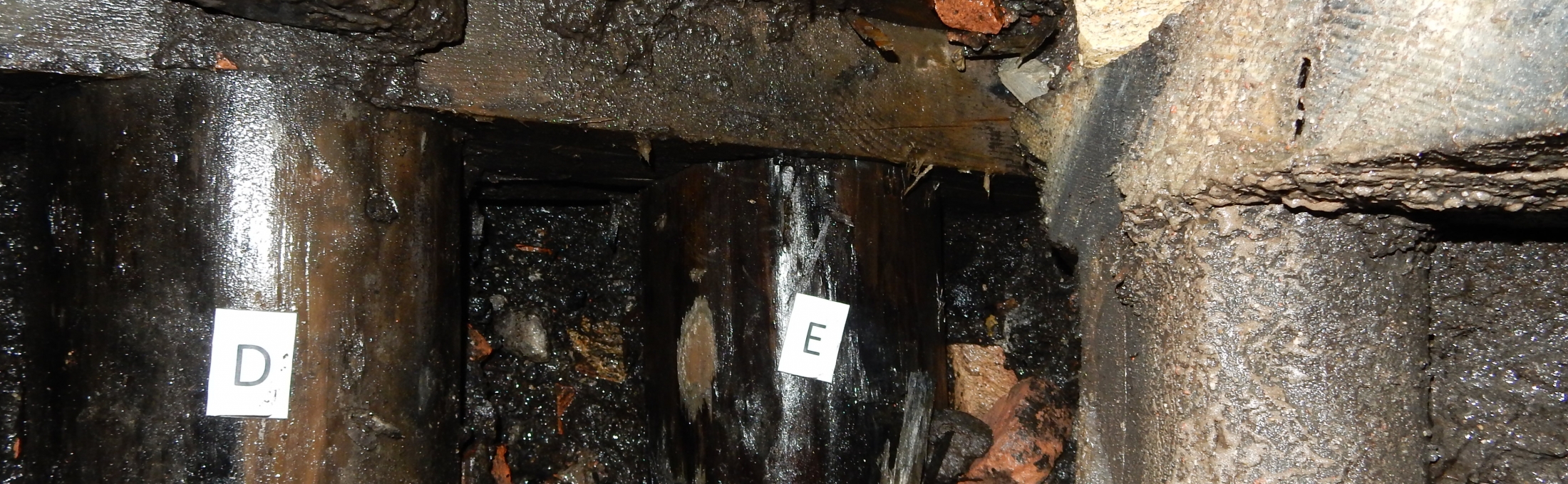 KCAF Recognition - Allnamics